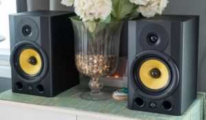 Wharfedale Diamond Loudspeaker - Hi-Fi Hall of Fame